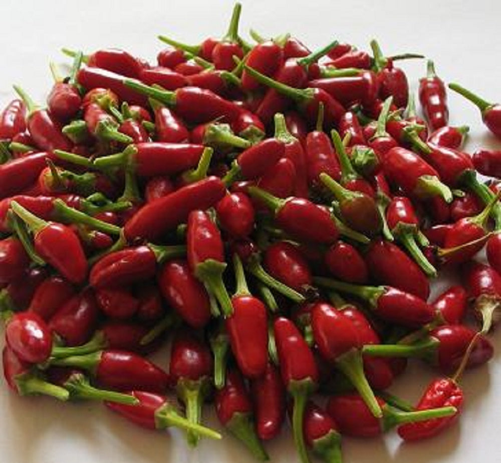Hot Bird Pepper Seeds – Sunshine Seed Nursery