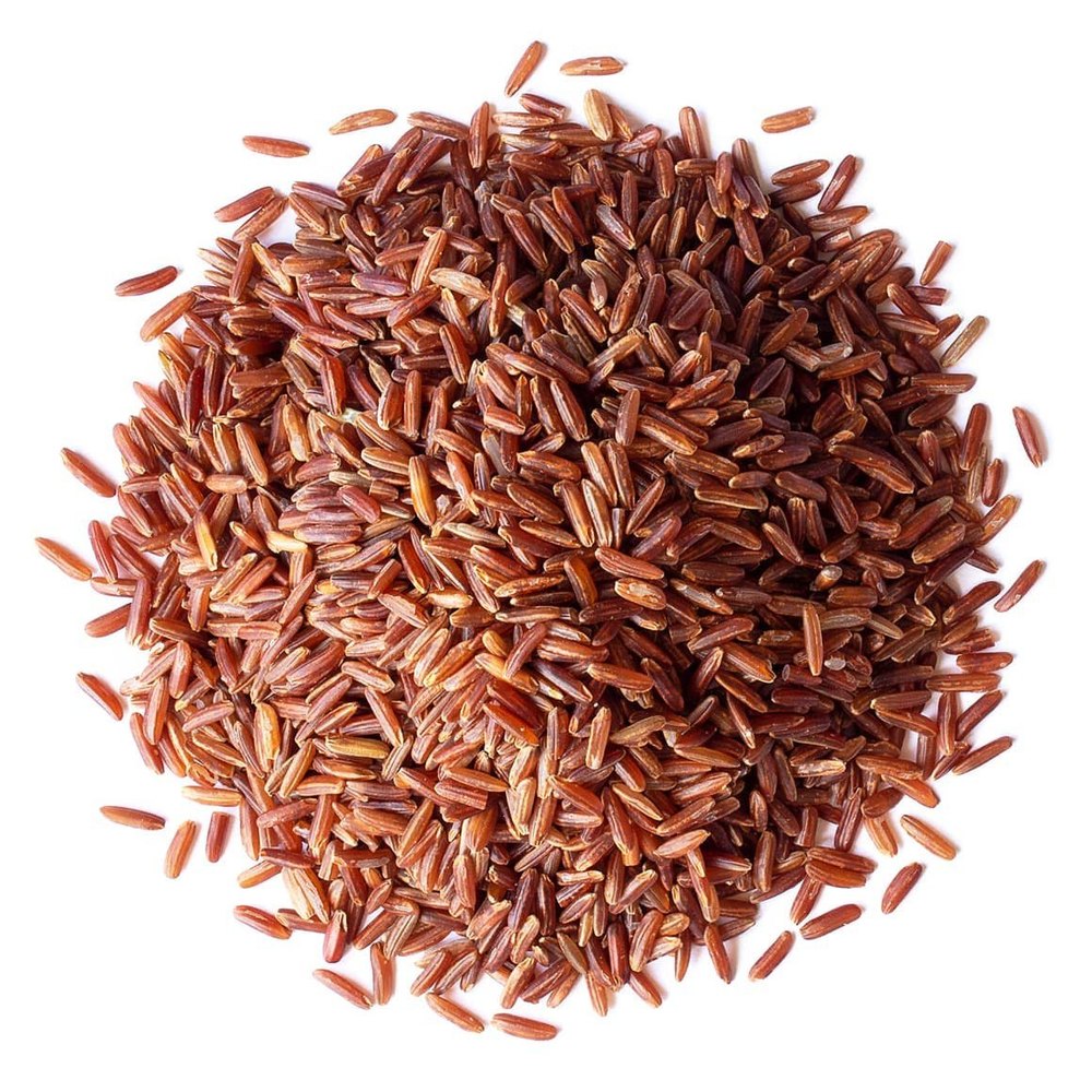 Generic Red Rice Seeds- 1 lb. – Sunshine Seed Nursery