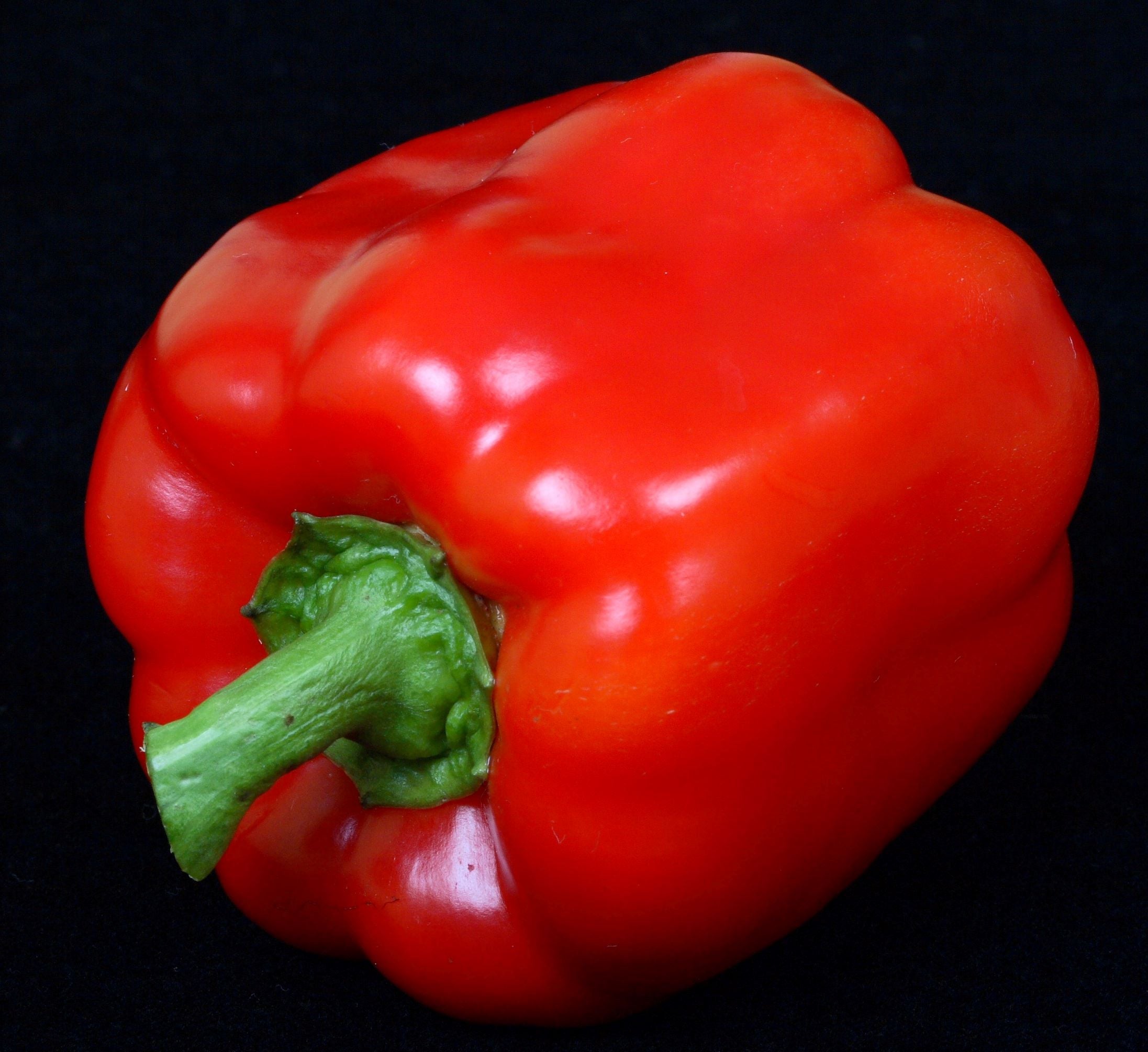 Keystone Giant Sweet Pepper Seeds – Sunshine Seed Nursery