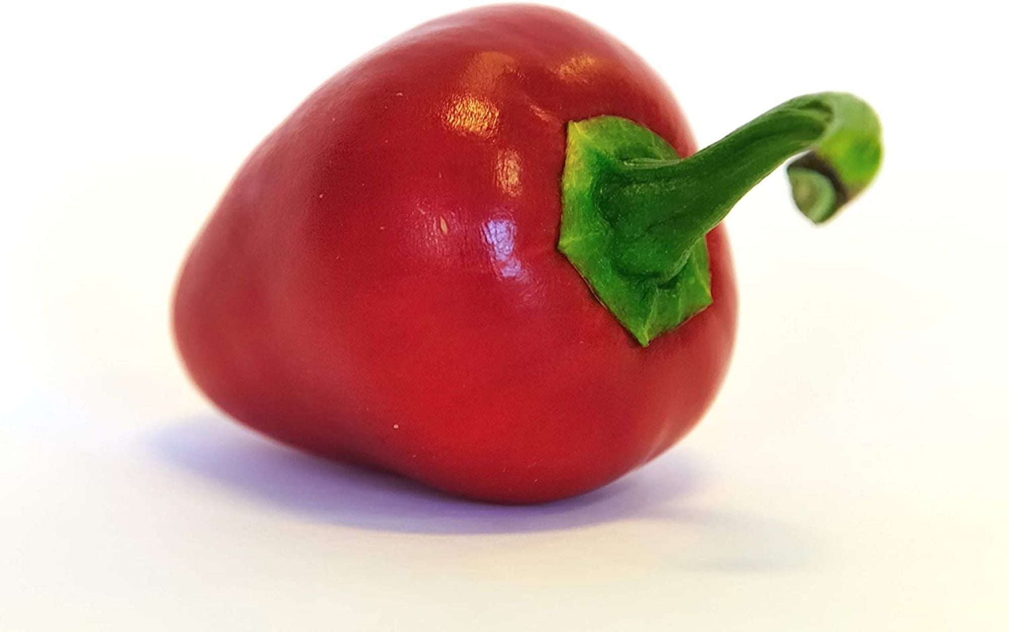 Pimento Sweet Pepper Seeds – Sunshine Seed Nursery