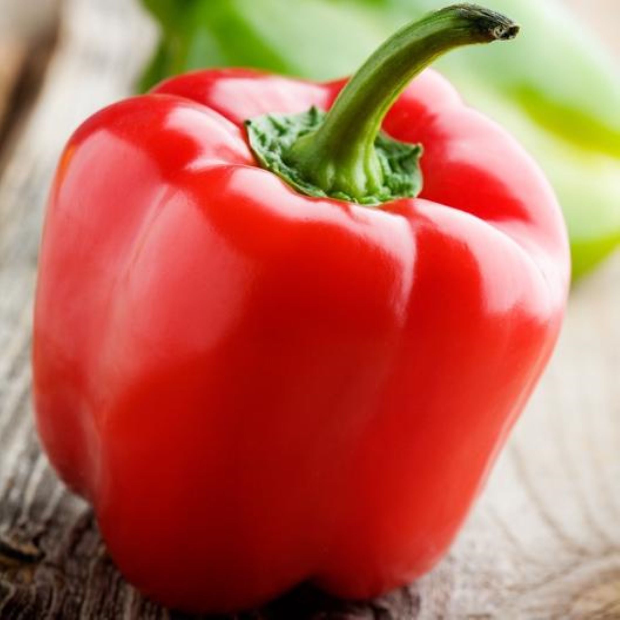 Yolo Wonder Sweet Pepper Seeds – Sunshine Seed Nursery